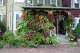 Vertical Gardening Maximizes Space For Flowers Veggies