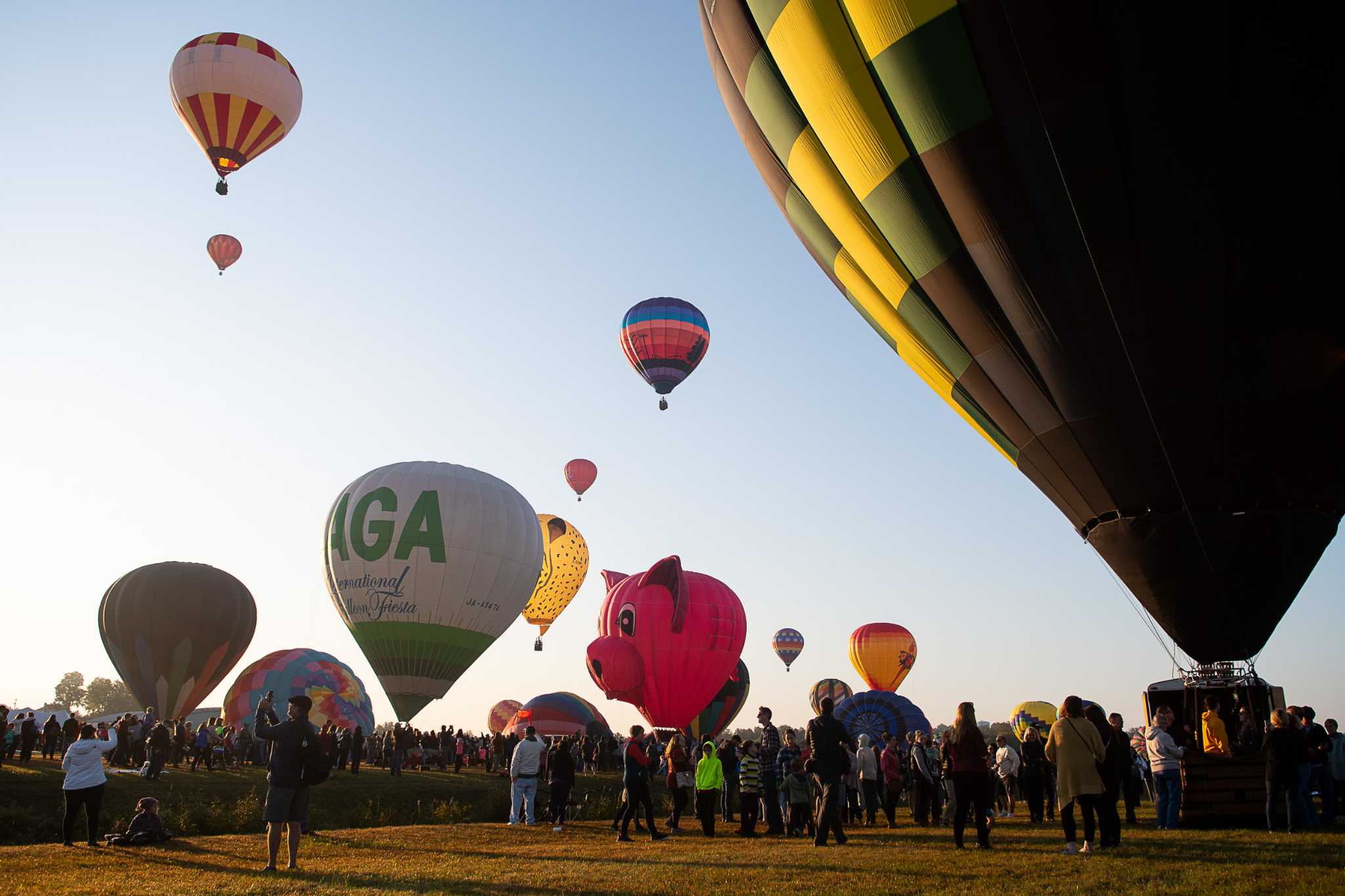 From Adam Sandler to ZZ Top, your Capital Region fall arts guide