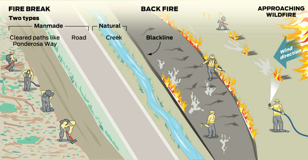 Explaining The Use Of Firebreaks And Backfires To Control Wildfires explaining-the-use-of-firebreaks-and-backfires-to-control-wildfires