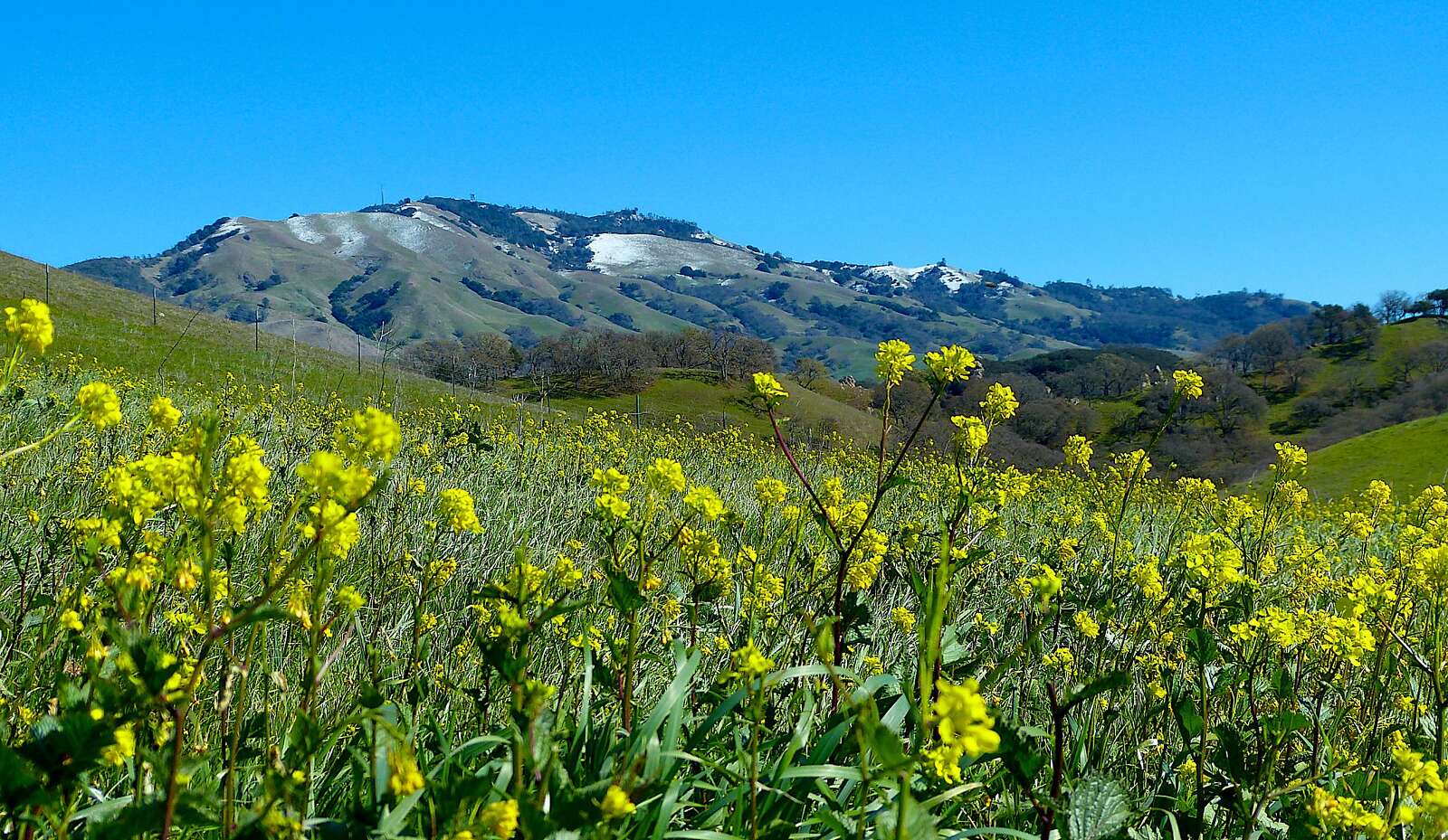 Housing guide: Where to live in Contra Costa County