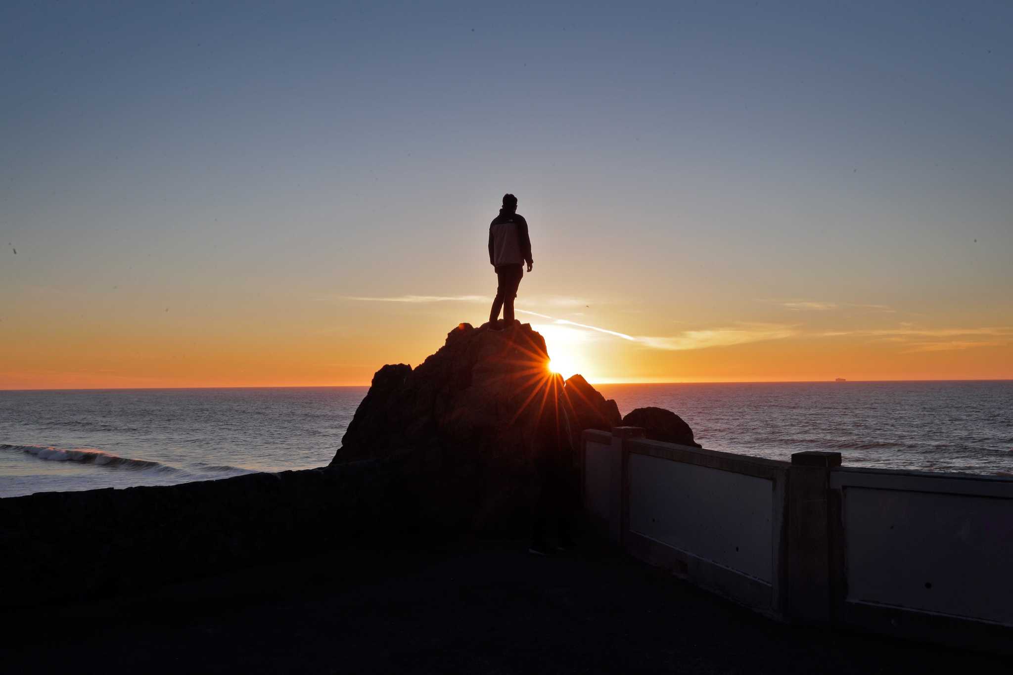 Here are the best spots for whale watching in the Bay Area