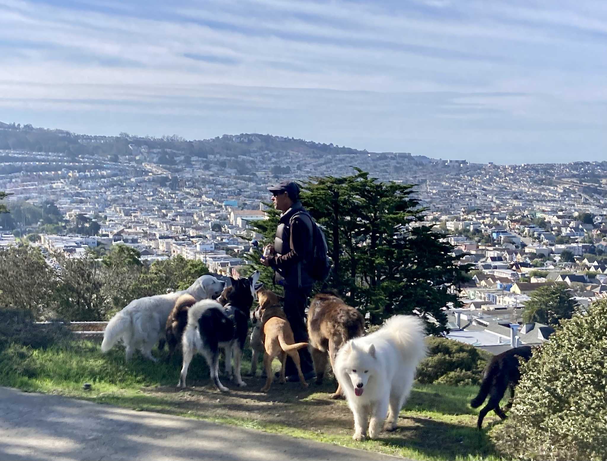Bay Area's best views: Where to find the most stunning outlooks in San ...