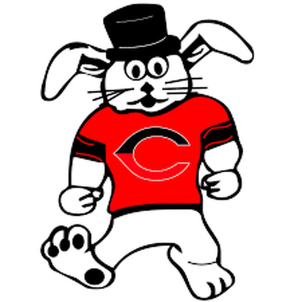 The 10 most unique Michigan high school mascots