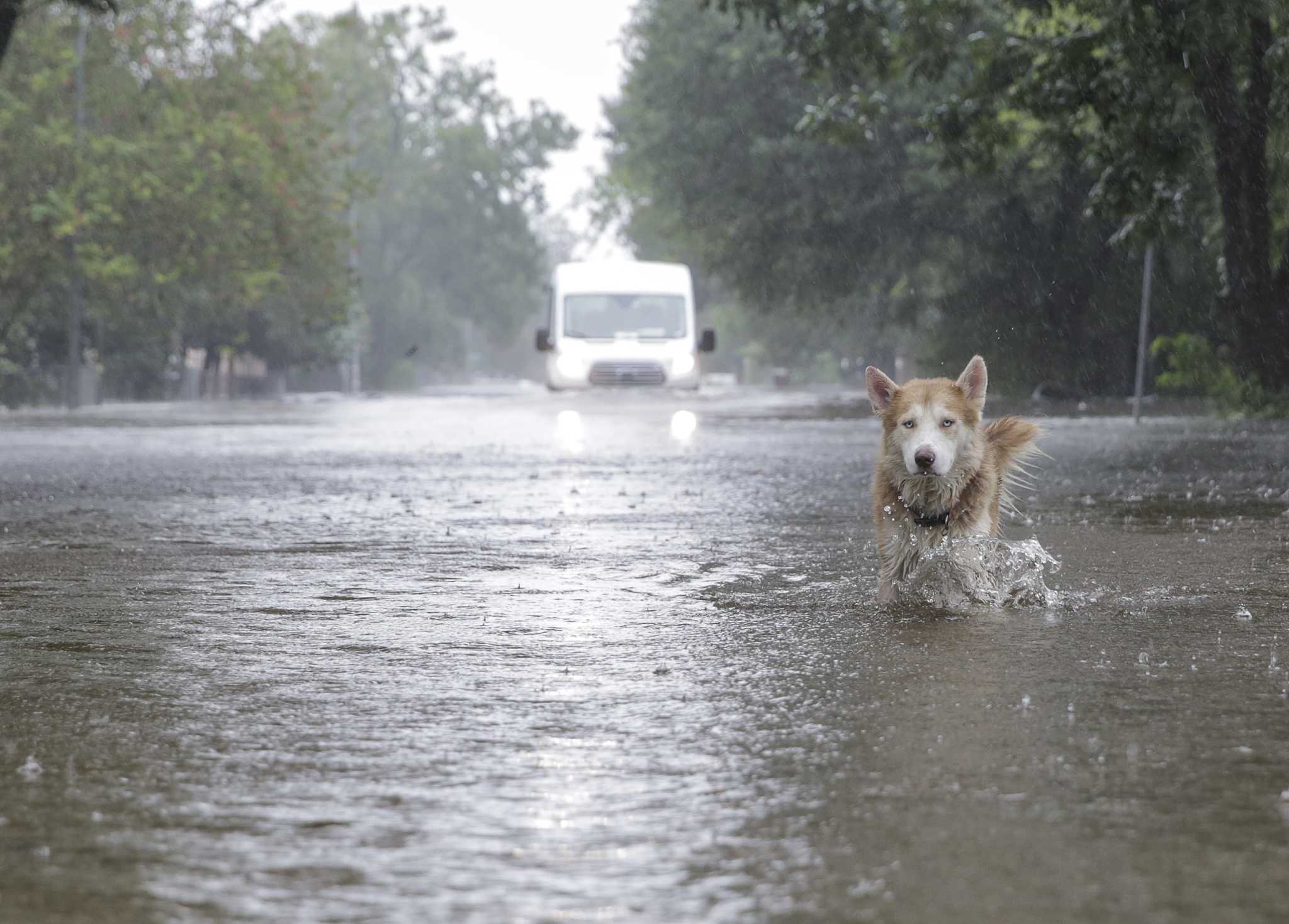 Texas Hurricane and Tropical Storm Tracker: Live weather updates