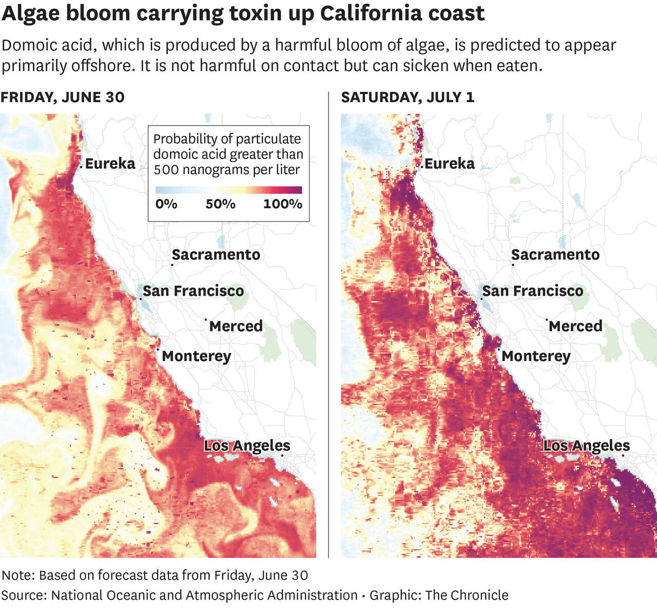 SF Bay Area could get toxic algae bloom that harms dolphins