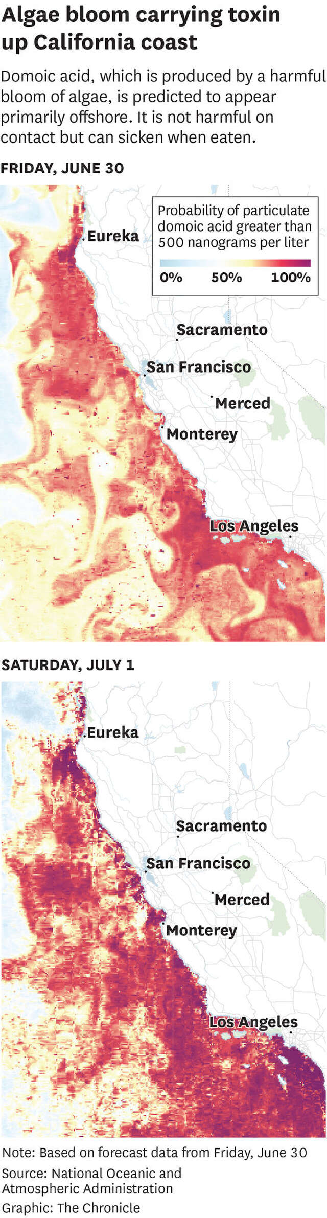 SF Bay Area could get toxic algae bloom that harms dolphins