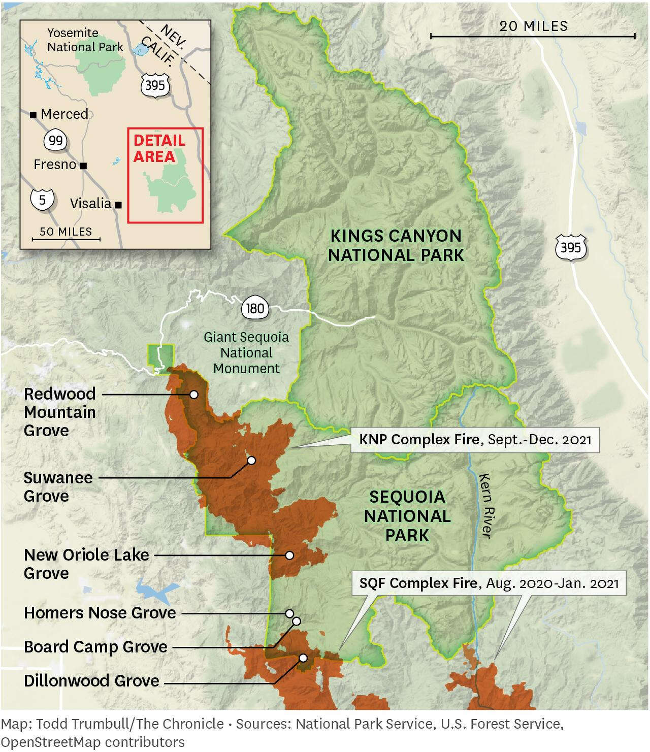 Should California’s iconic sequoia groves be saved from fire?