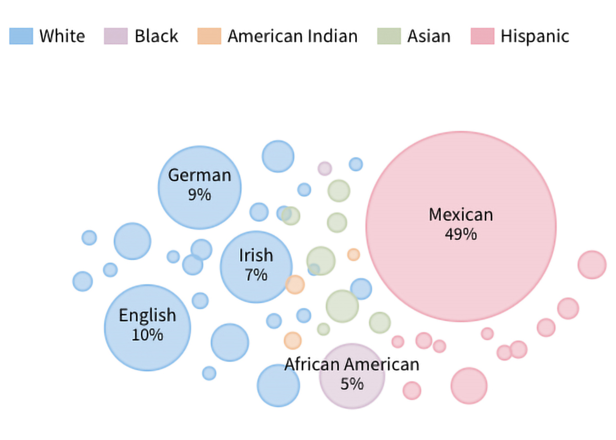 Explore ethnic diversity in Bexar County and across Texas with new data