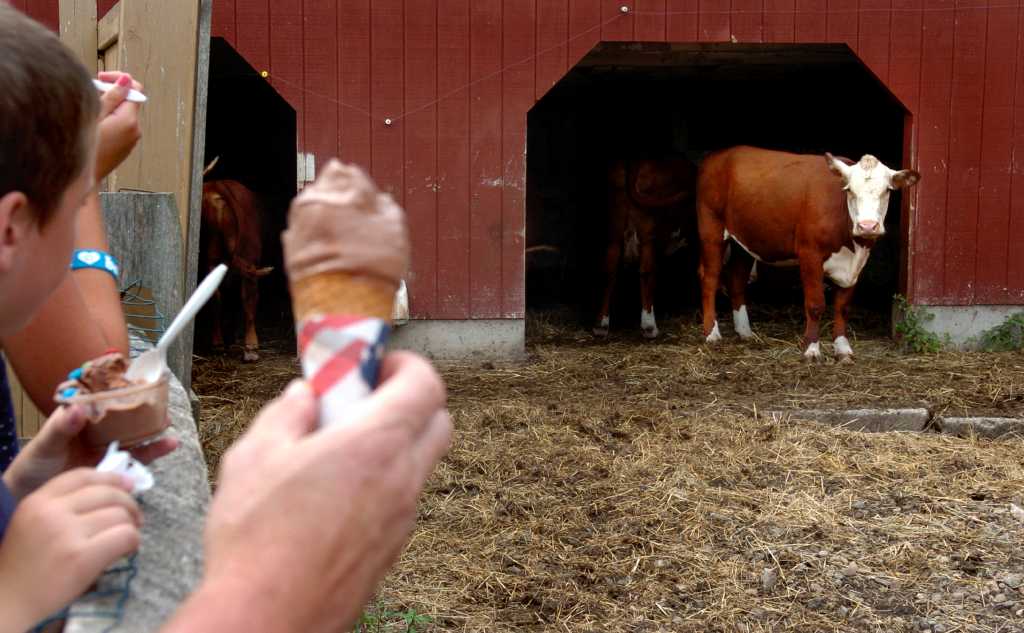 A guide to farm ice creameries in CT