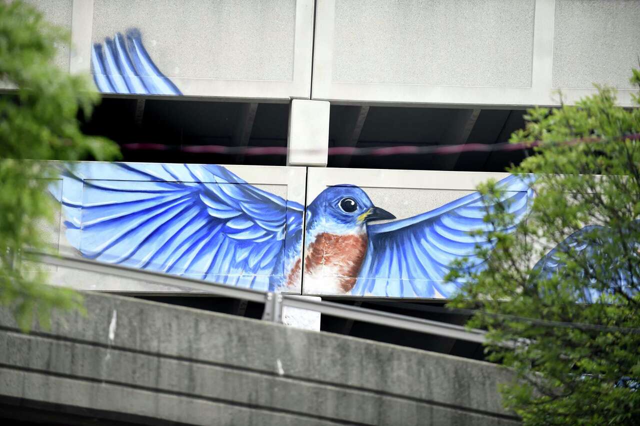 Albany's murals and street art: A complete guide