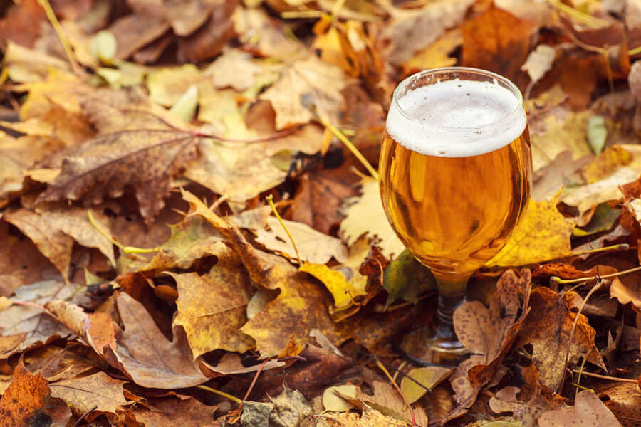 Poll: What is the best Fall beer brewed in CT?