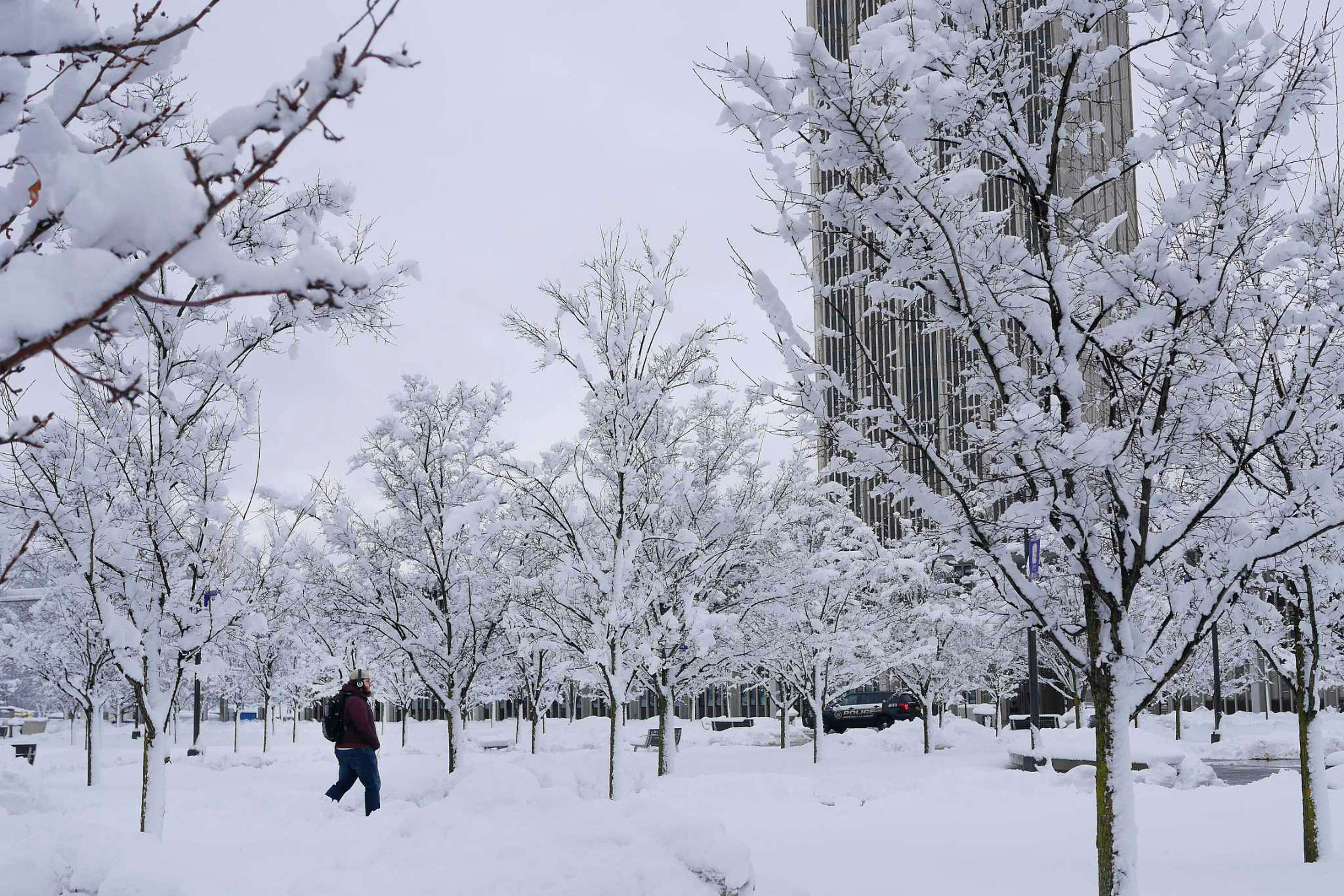 Here's how much snow Albany will get
