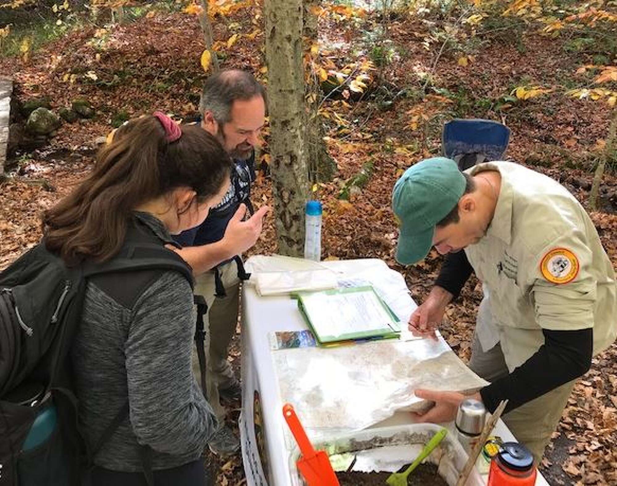 Hiking essentials to take with you on all trails