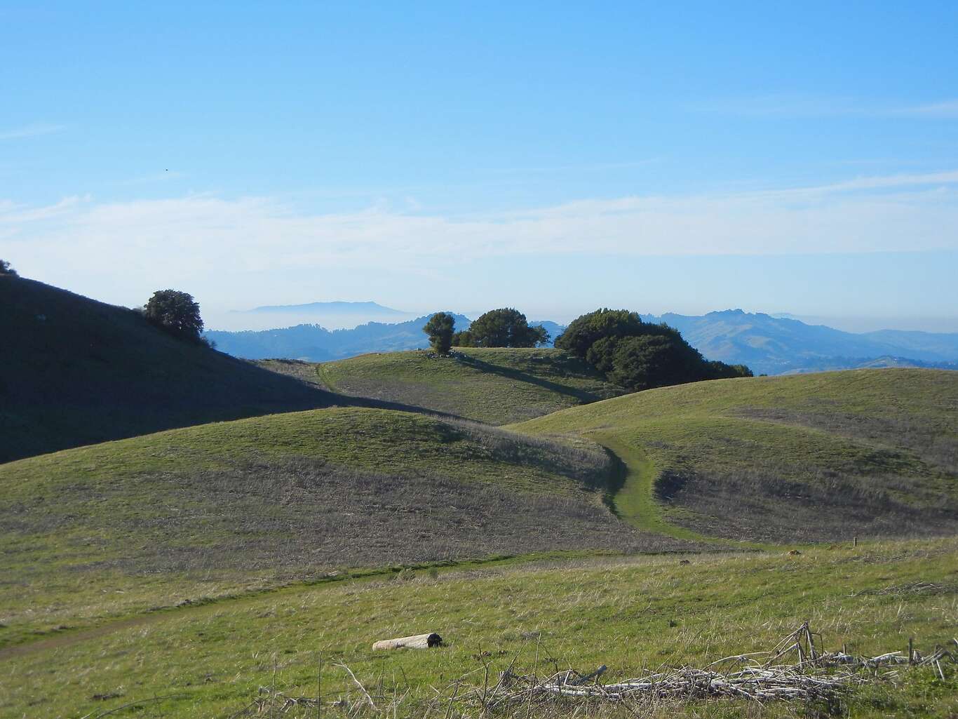 Bay Area's best views: Where to find the most stunning outlooks in San ...