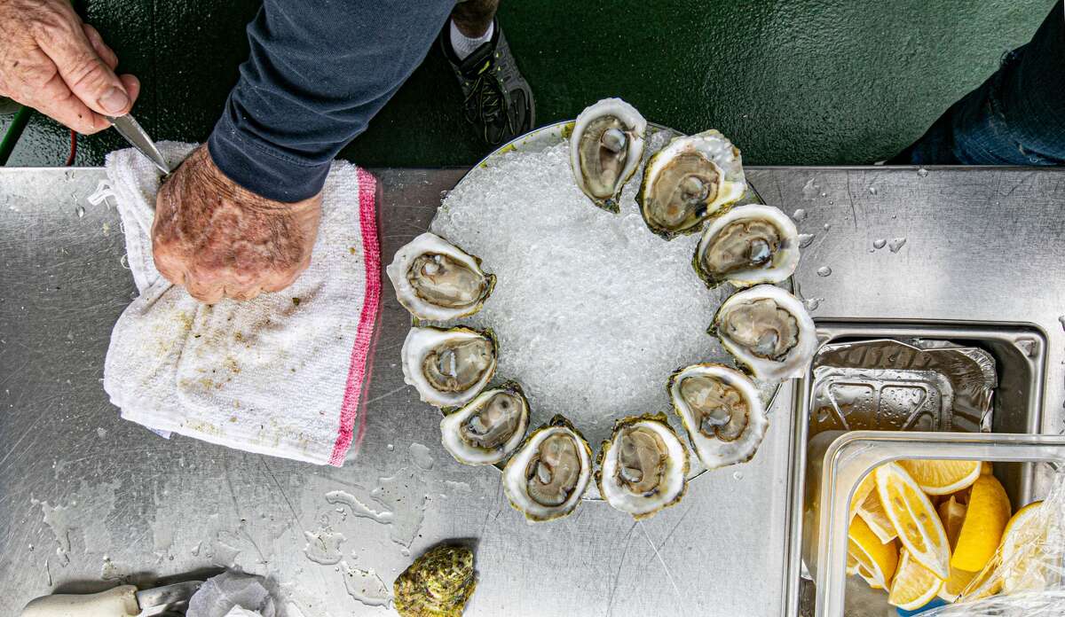 Connecticut oysters