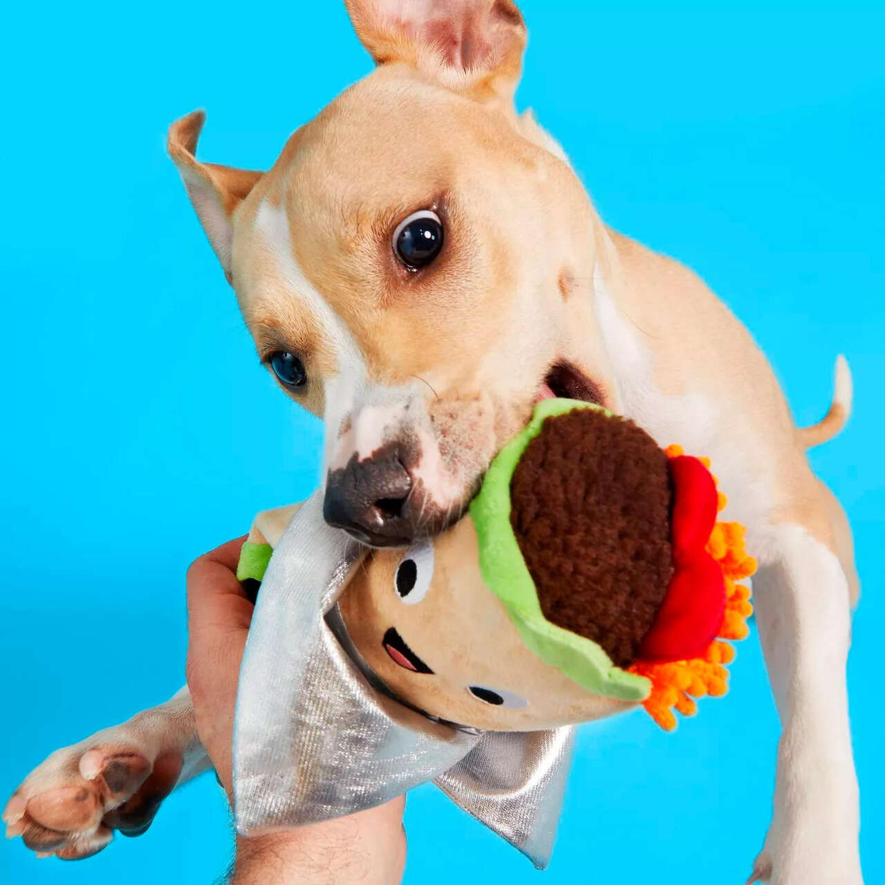 The best burrito-themed gifts for the food lover in your life