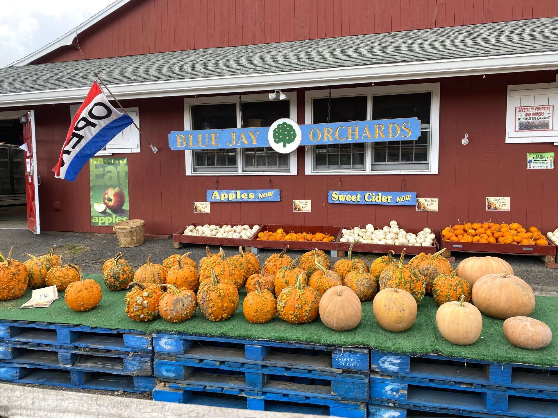 A guide to Connecticut's Pumpkin Patches