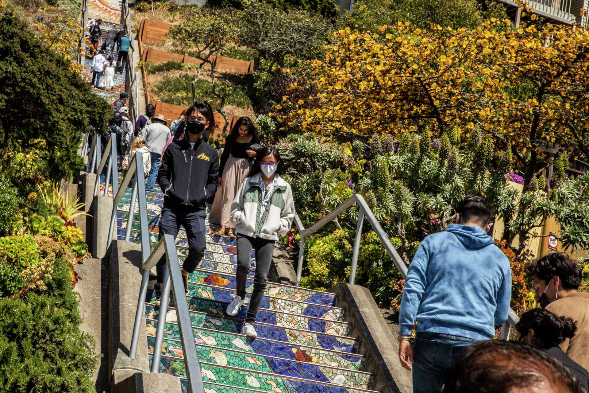 12 epic stairways that will make you fall in love with San Francisco again