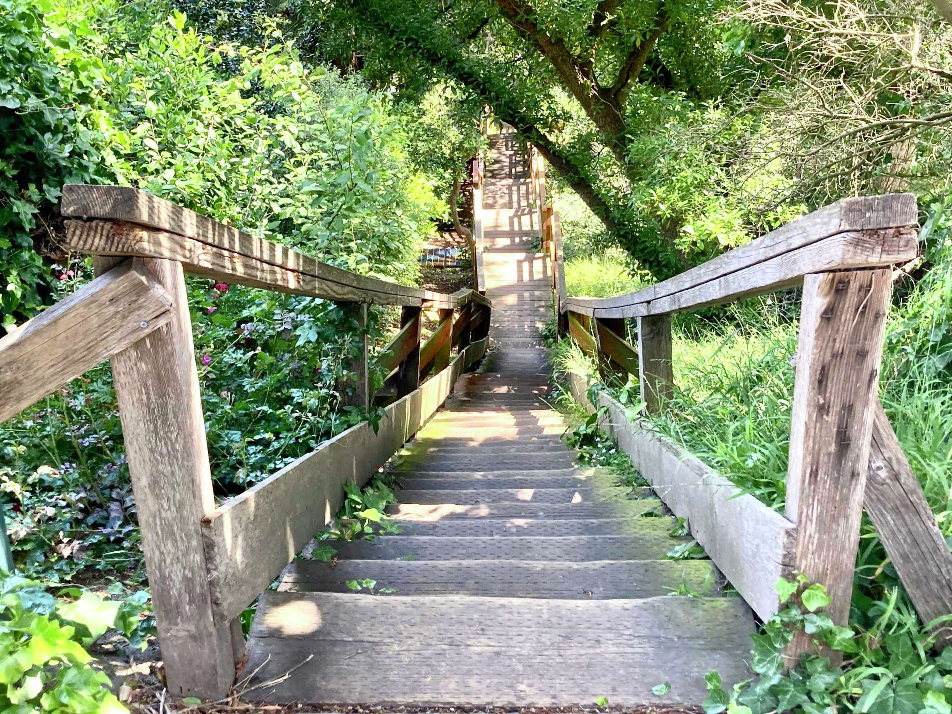 12 epic stairways that will make you fall in love with San Francisco again