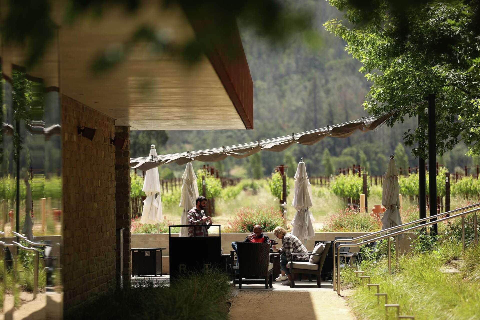 Napa Valley’s most popular wineries: Are they worth the trip?