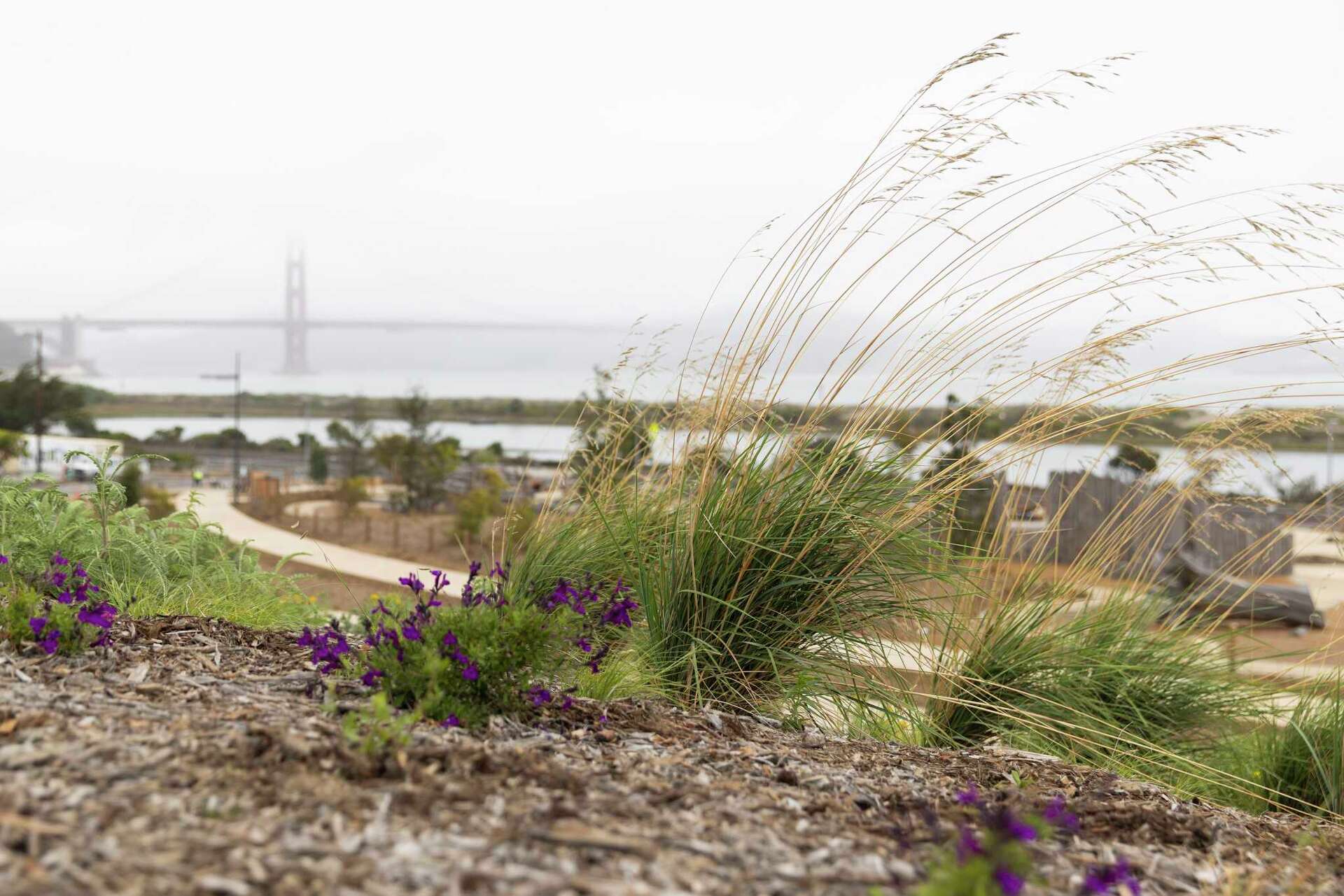 Presidio Tunnel Tops: 15 ways to explore San Francisco’s new park