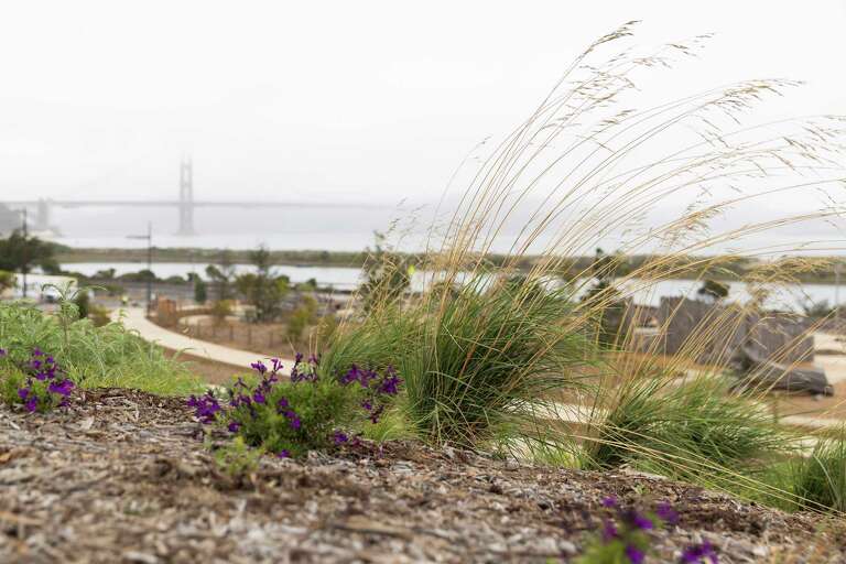 Presidio Tunnel Tops: 15 ways to explore San Francisco’s new park