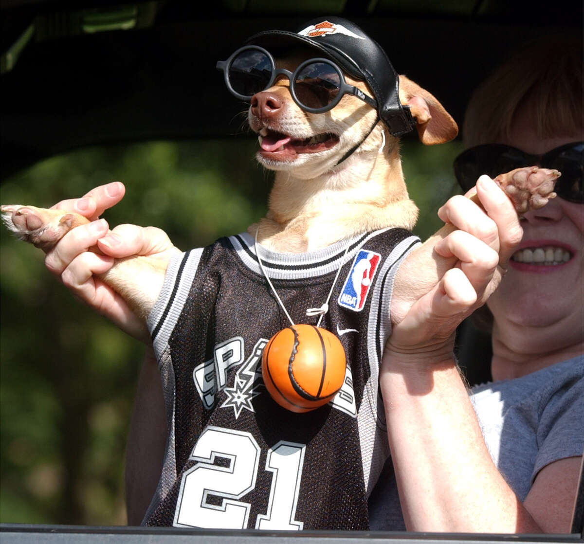 Adorable San Antonio dogs from Express-News photos over the years