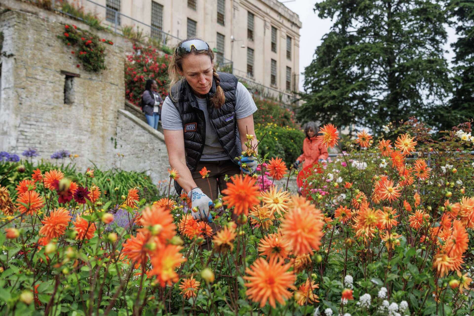 Uncommon callings: Here are some of California’s more unusual jobs