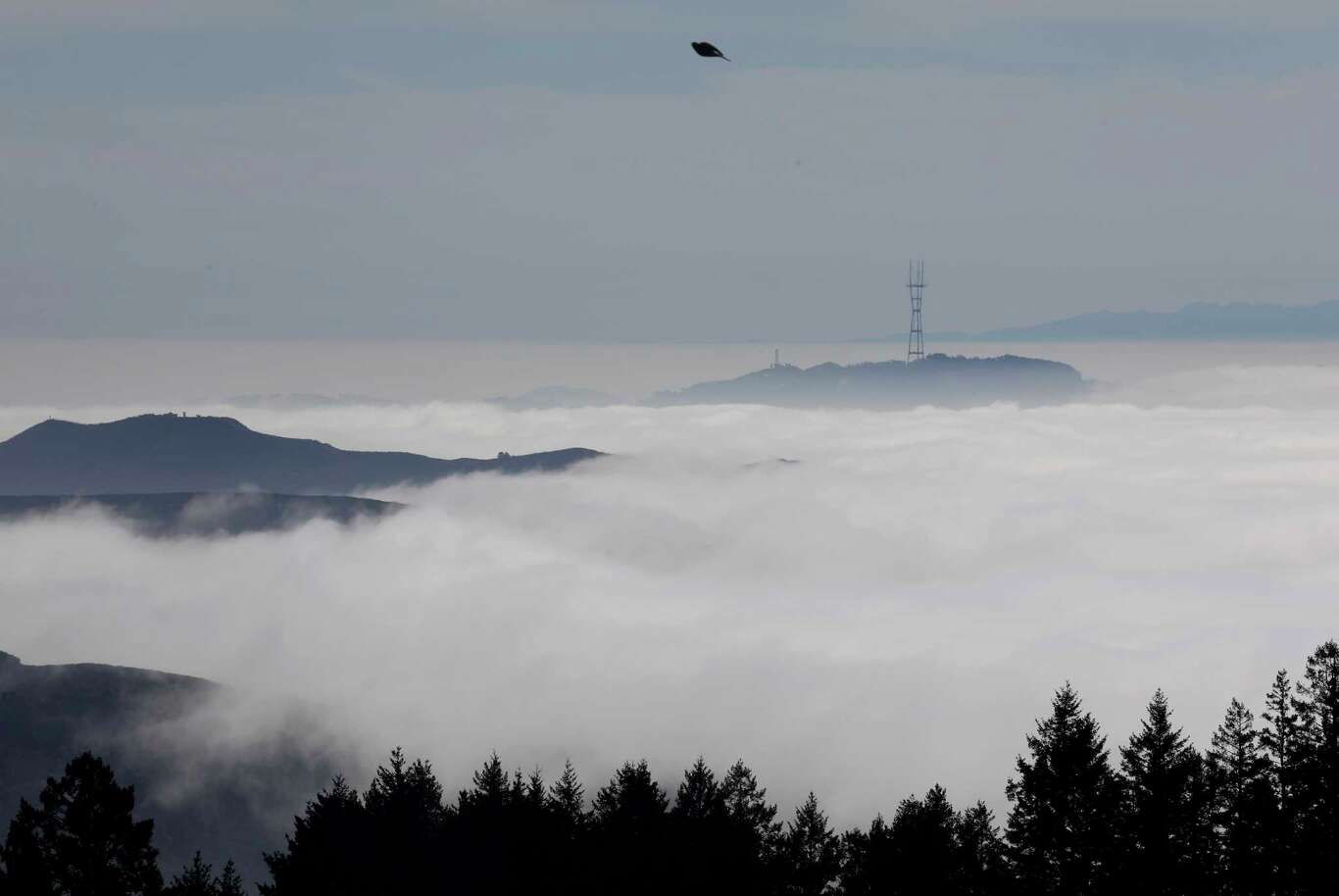Bay Area's best views: Where to find the most stunning outlooks in San ...