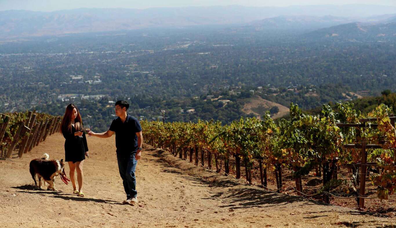 Best wineries: Where to go wine tasting in Napa and the Bay Area