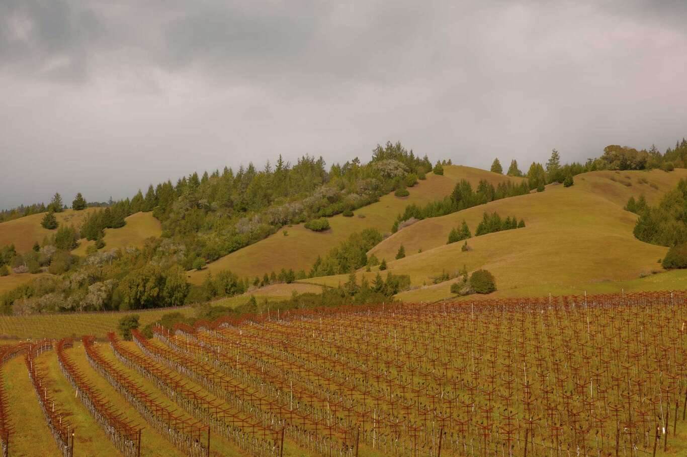 这个加州葡萄酒小镇有自己的语言。你能理解吗? - 必赢app亚洲官网