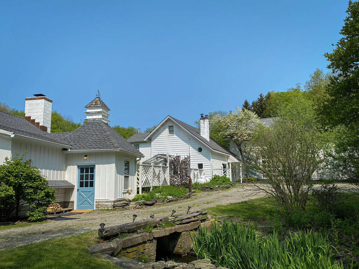 peter riegert spouse