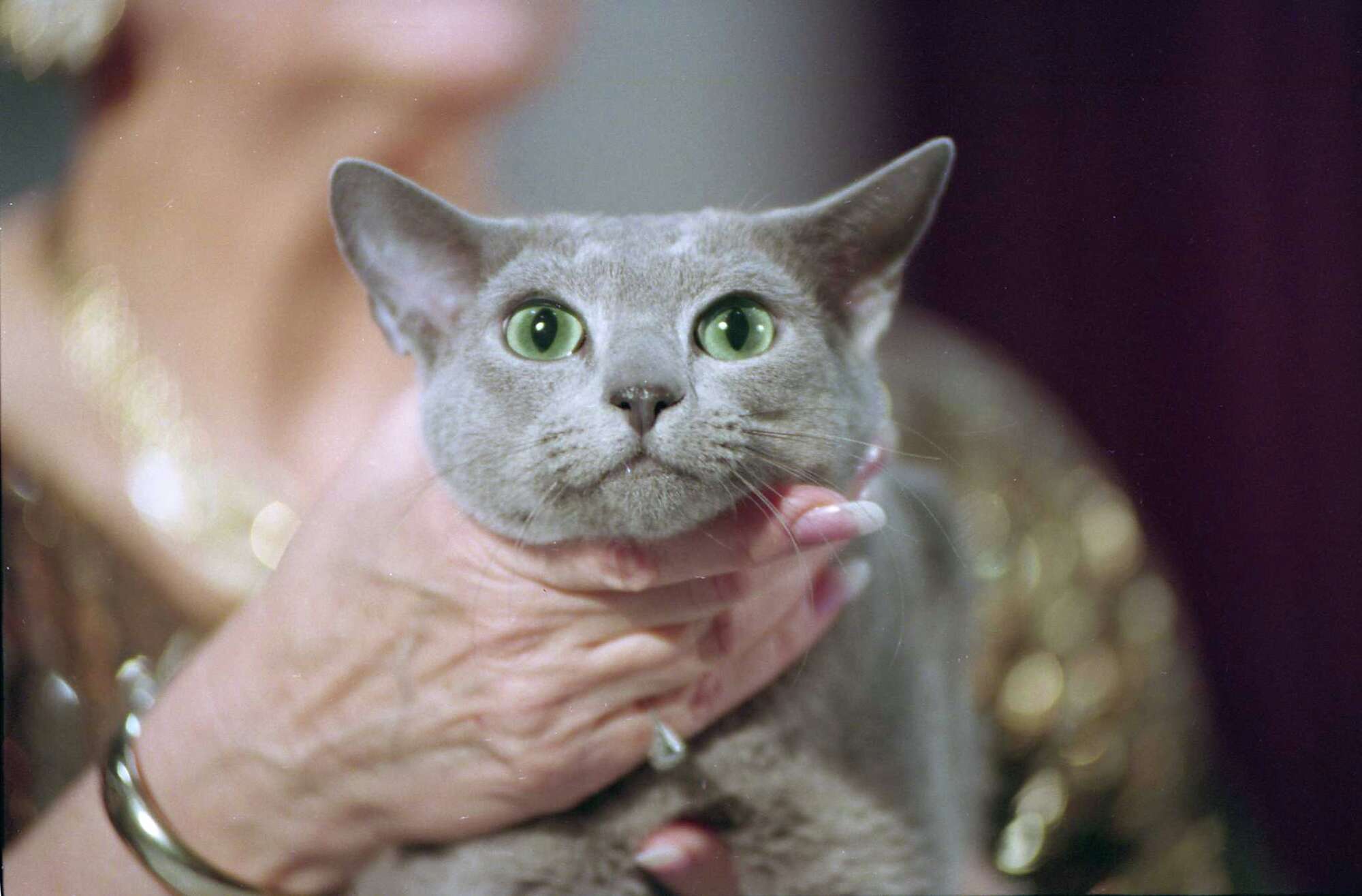 Houston 30 years ago: Archive photos from January 1994