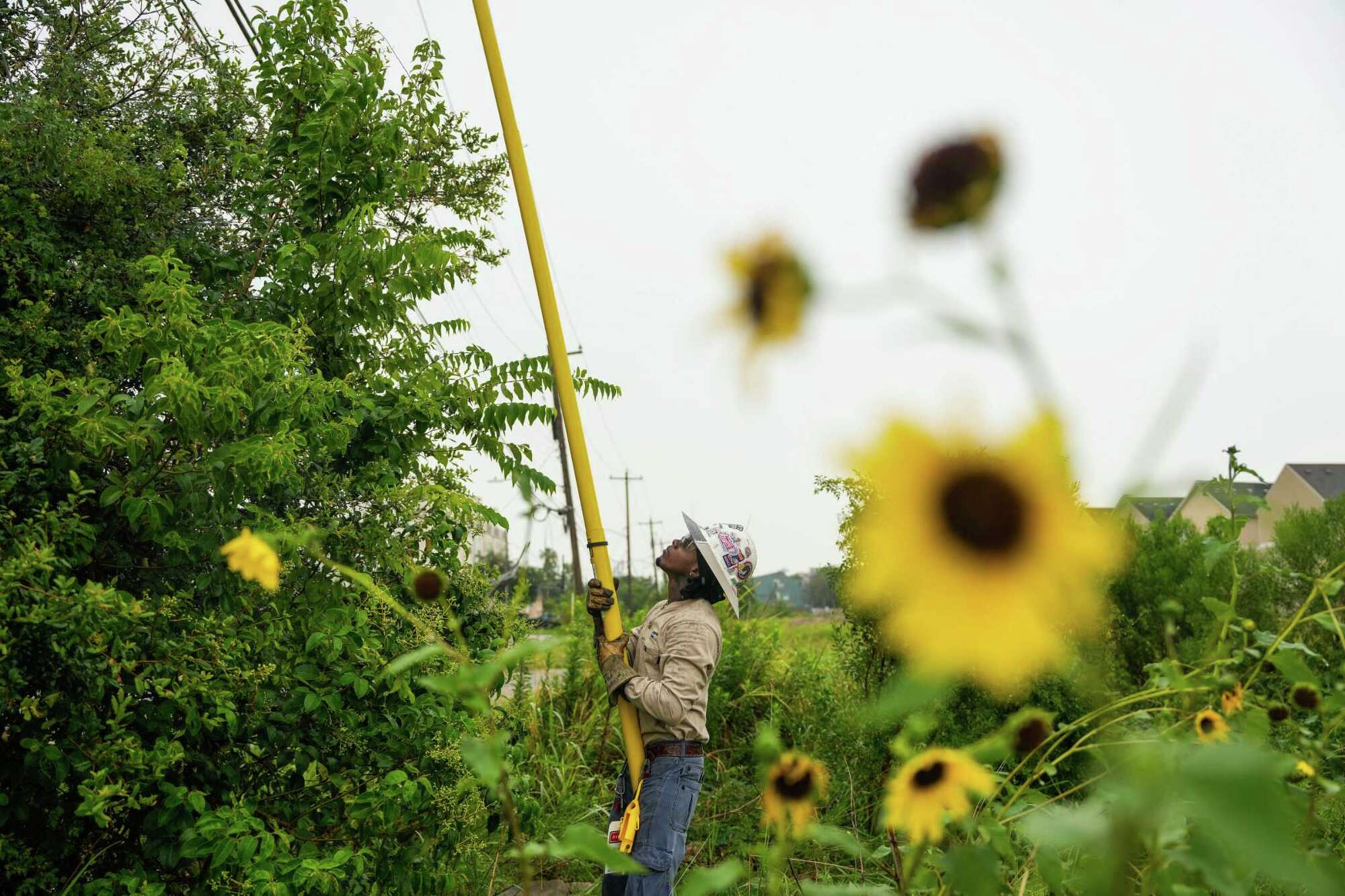 Houston slowly starts recovery efforts post-Beryl