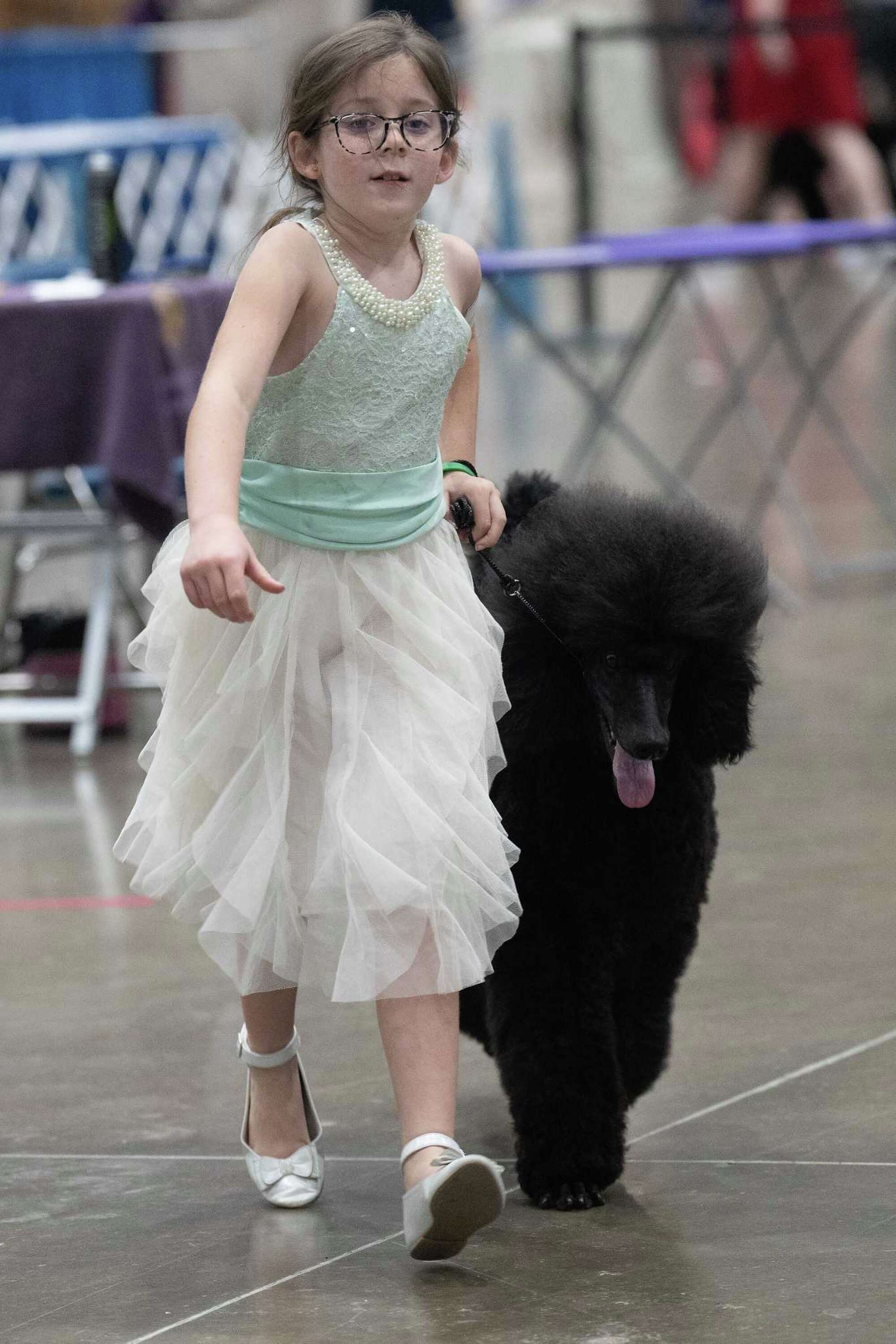 Houston World Series of Dog Shows: See the best photos