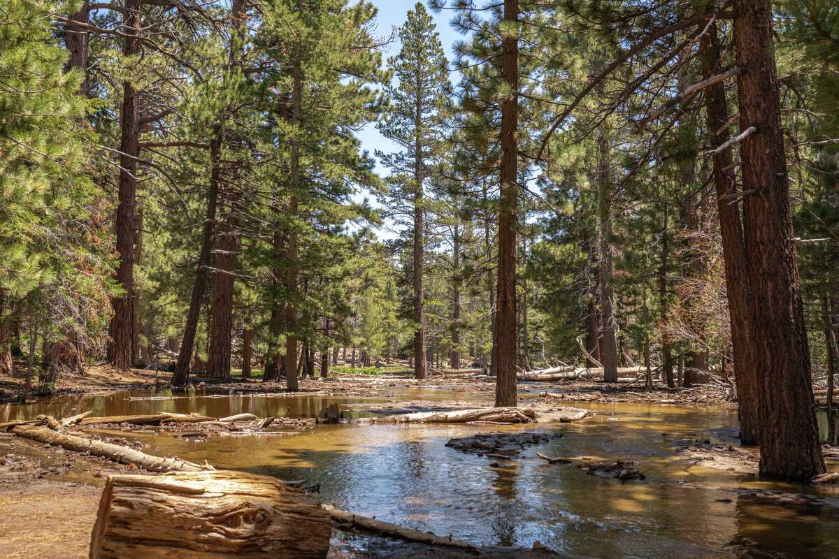 California's best state parks, according to over 300,000 reviews