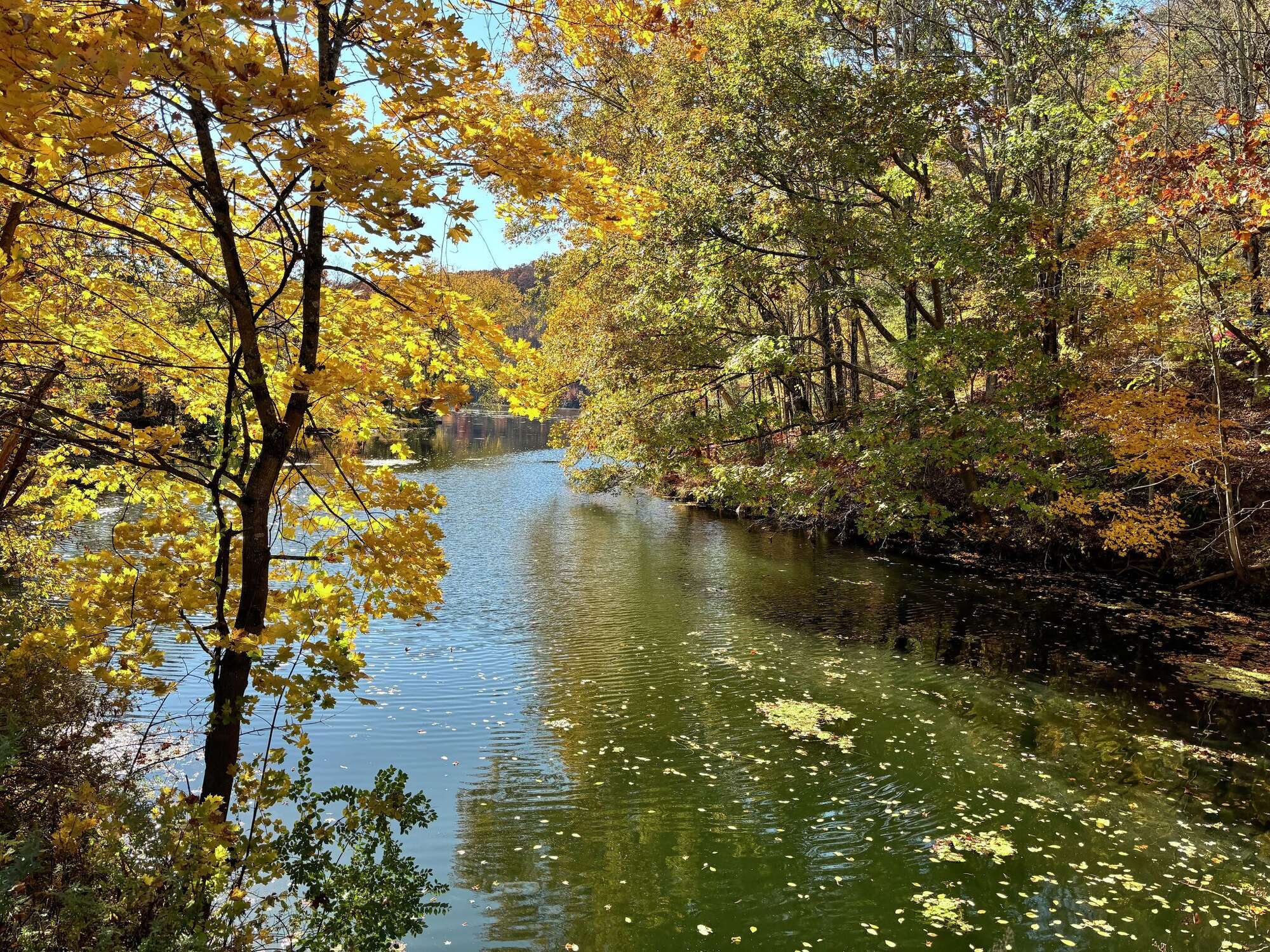 Drone images capture 2024 fall foliage in western Connecticut from above