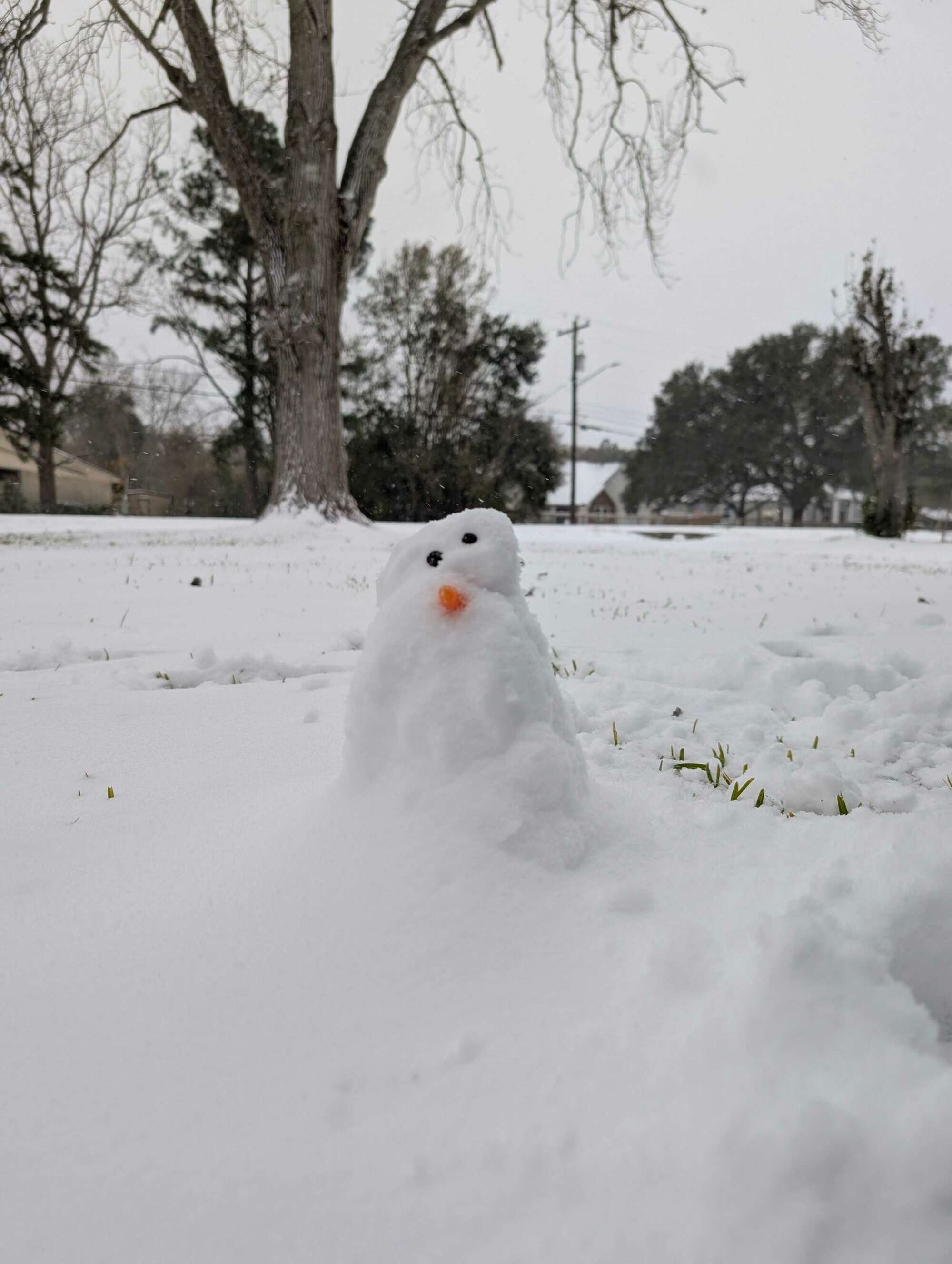 Reader photos: Houstonians make tiny snowmen to celebrate historic snowfall
