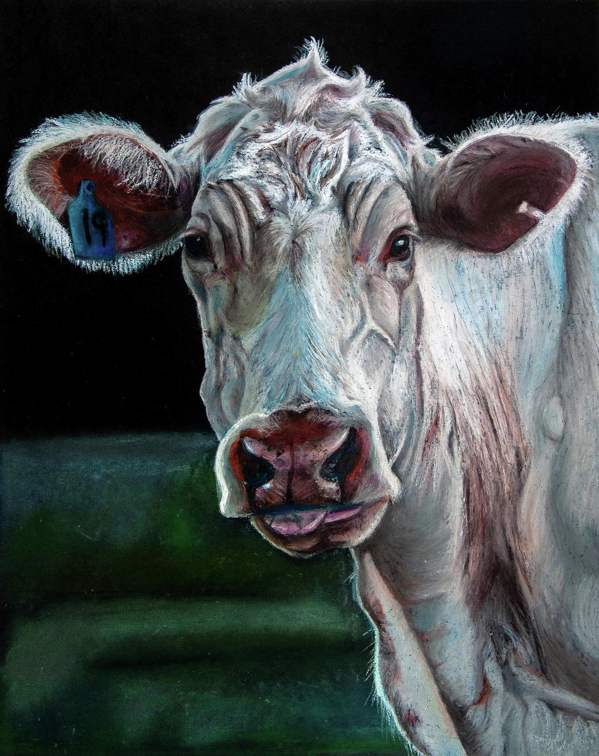 Houston Rodeo School Art Program 2025: See the winning artworks