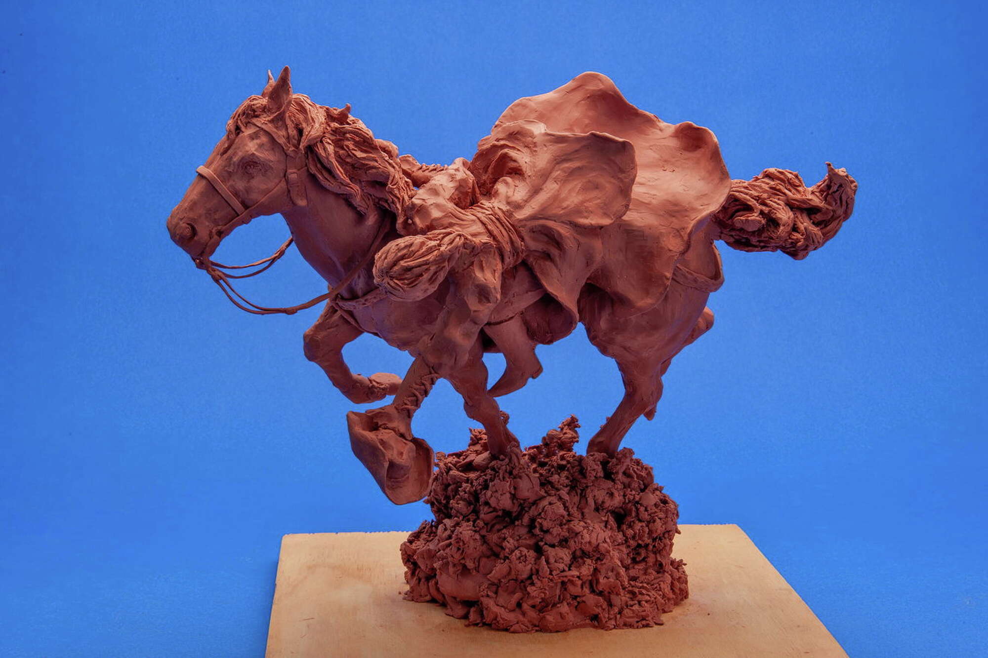 Houston Rodeo School Art Program 2025: See the winning artworks