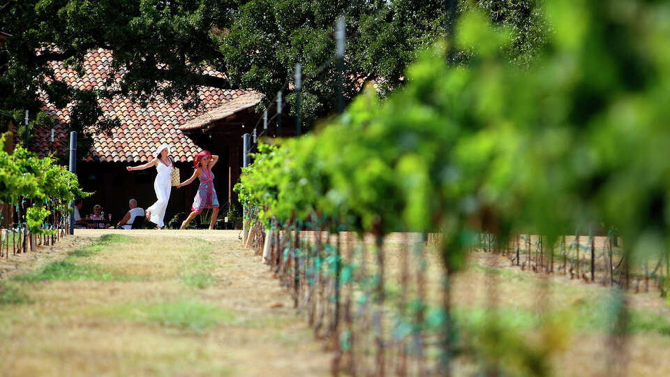Discover all that the Texas Hill Country wineries have to offer