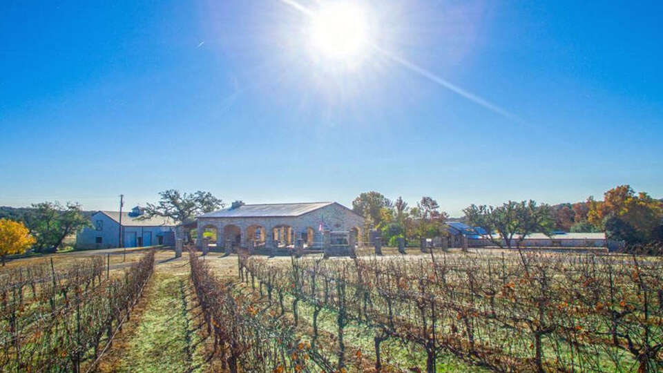 Hill County wineries: a guide to Texas' vineyard hub