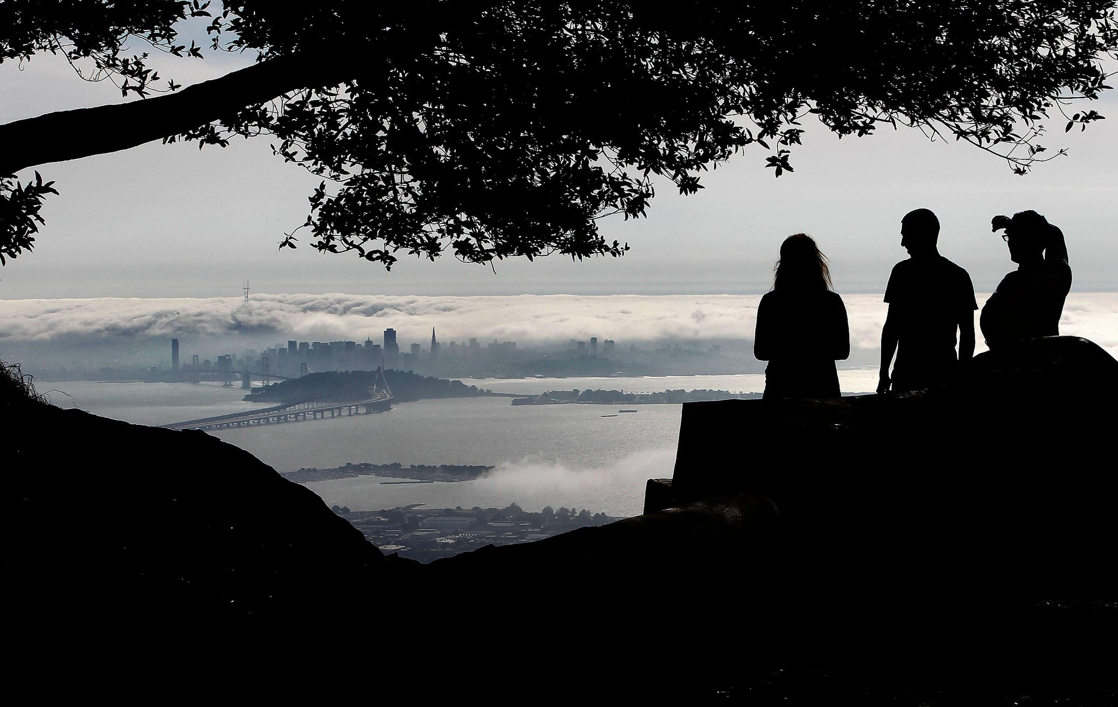 Bay Area's best views: Where to find the most stunning outlooks in San ...