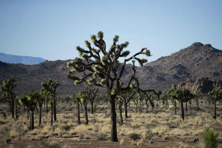 Report: 96% of America's national parks, including some in Washington ...