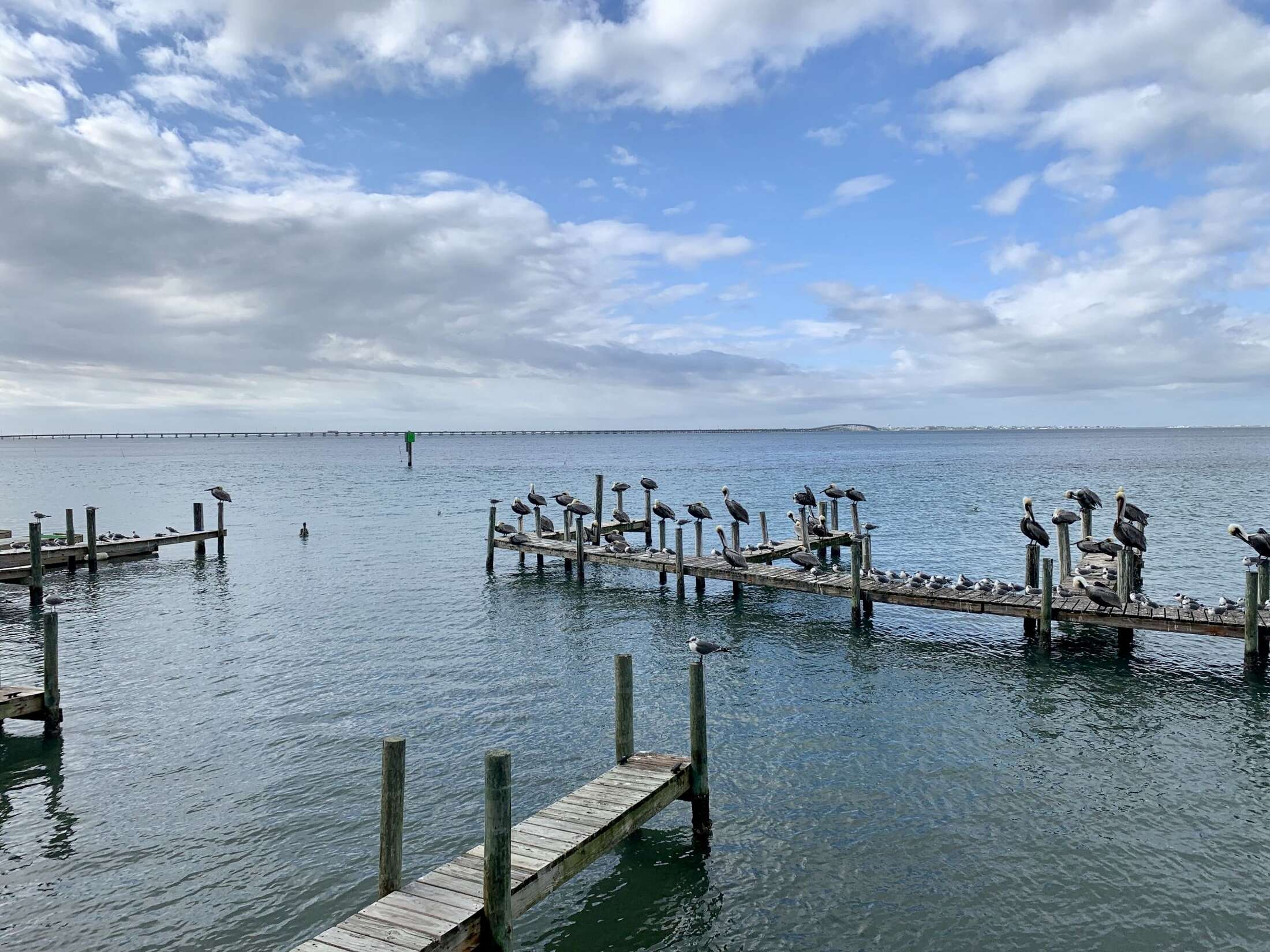 Top 10 affordable Texas spring break destinations