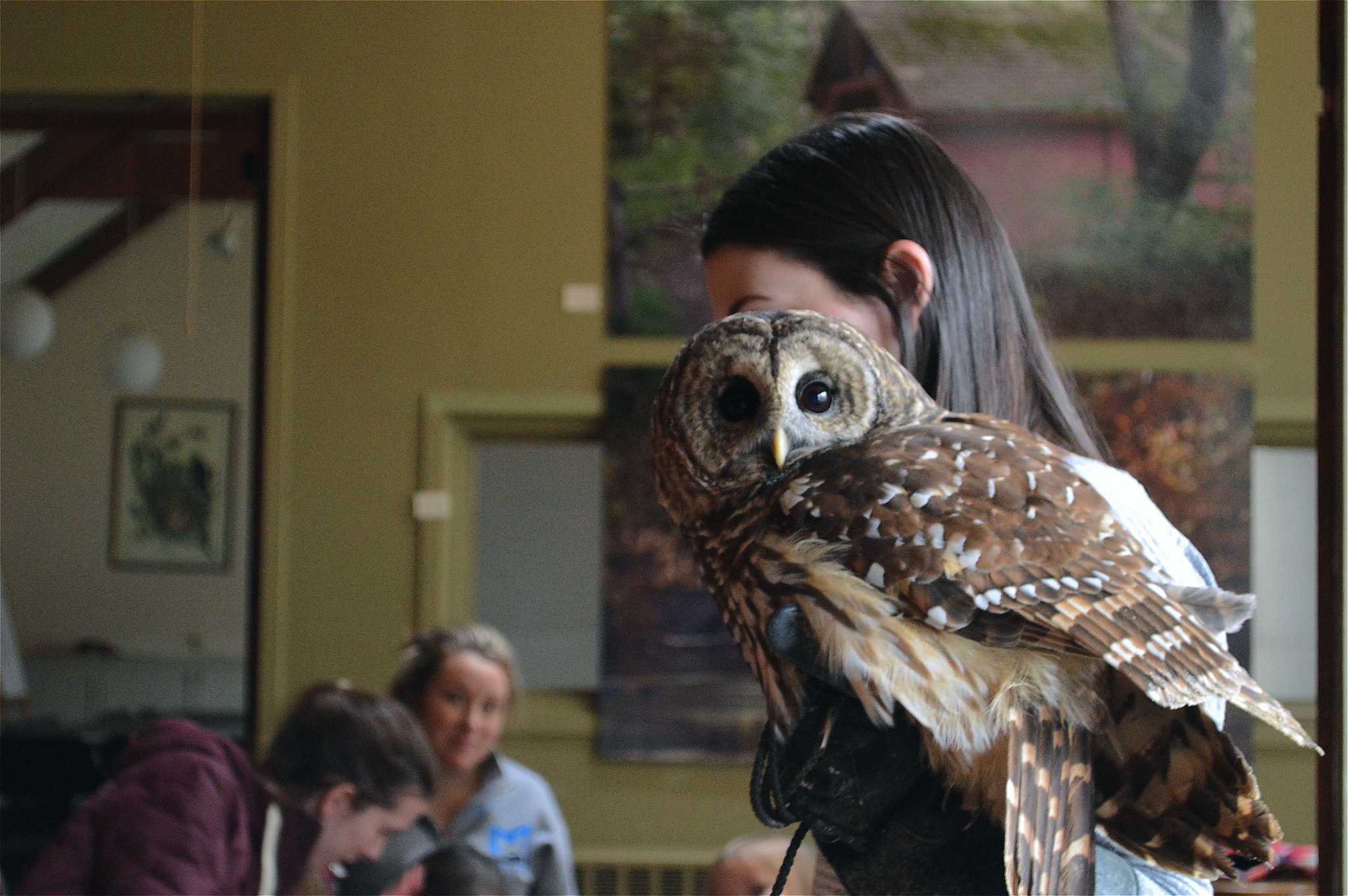 In Pictures / Owl program at audubon society a hoot