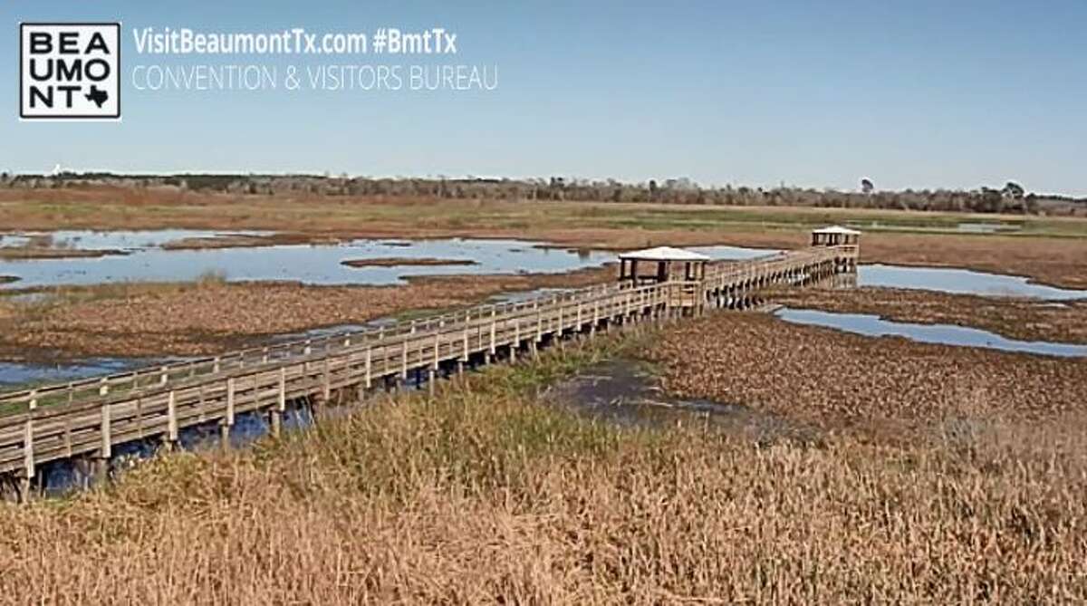 You can now watch a livestream from Cattail Marsh