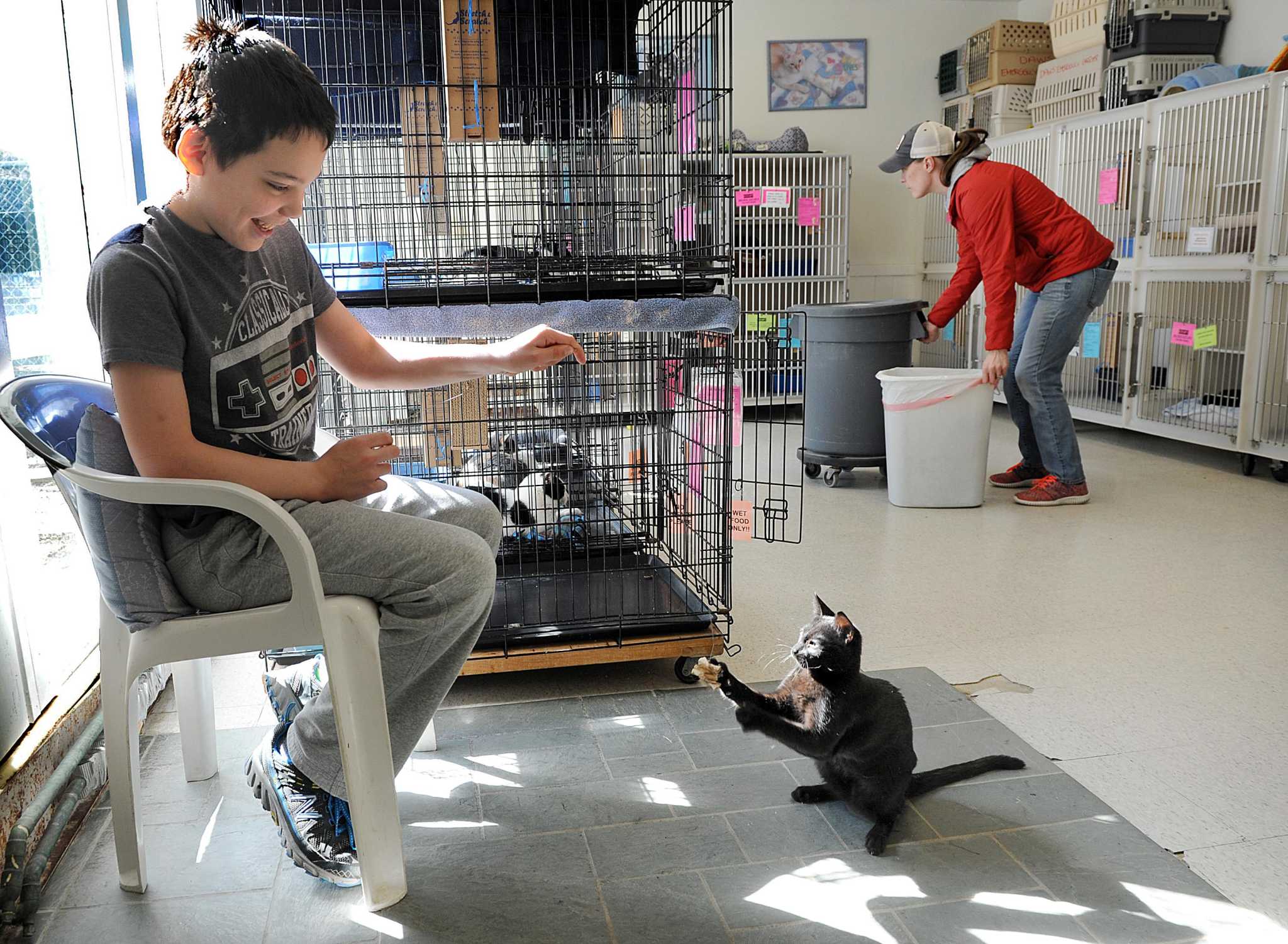 Wrap-A-Rescue seeks blanket, sheet donations for local animal shelters