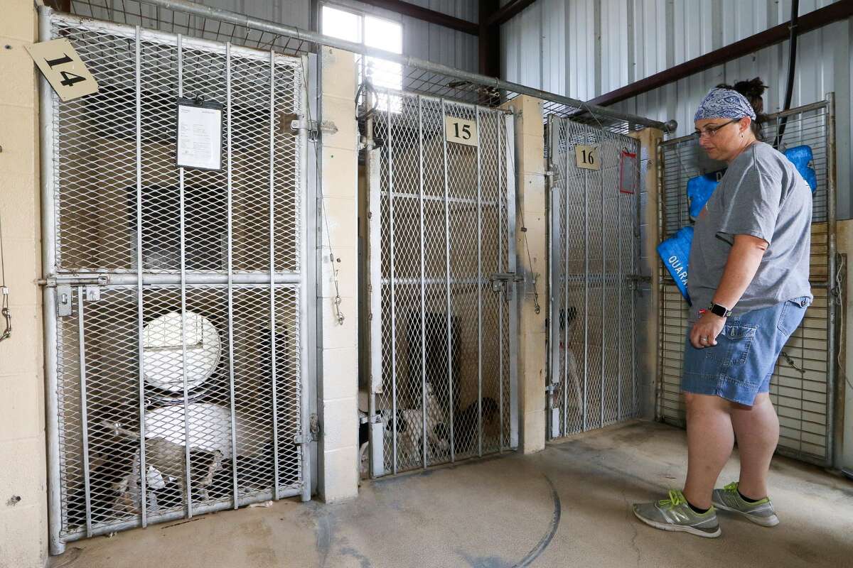 Kirby and Bexar County to end joint agreement to run $1 million San ...