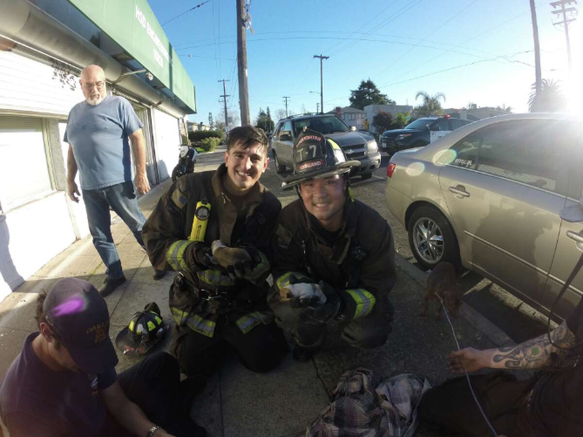 Video: Oakland firefighters rescue 3 puppies from structure fire